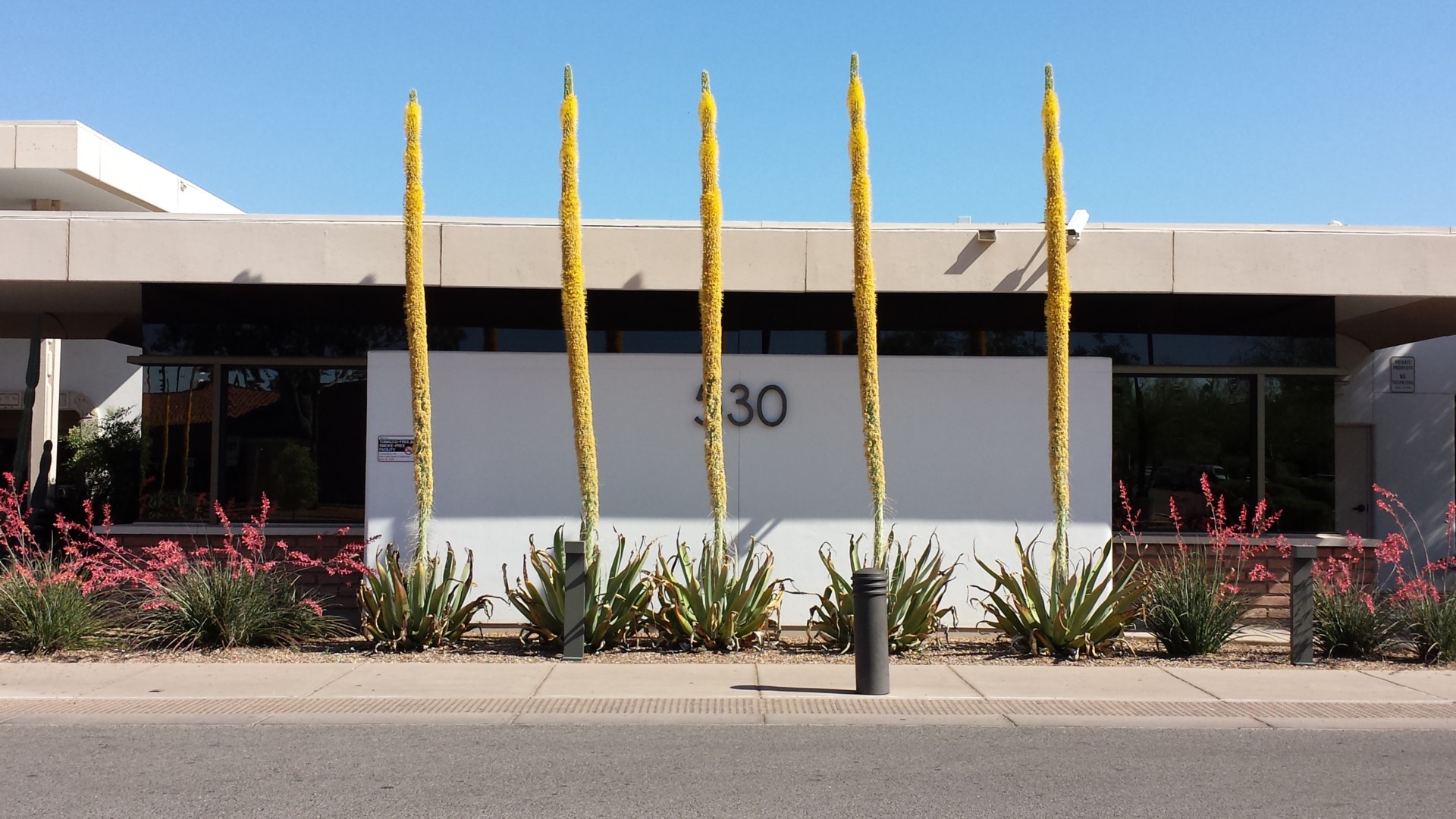 Homes for Sale near Tucson Libraries - RealTucson.com