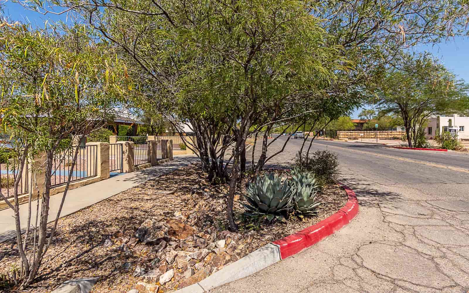 Rincon Heights: In the Middle of Everywhere - RealTucson.com